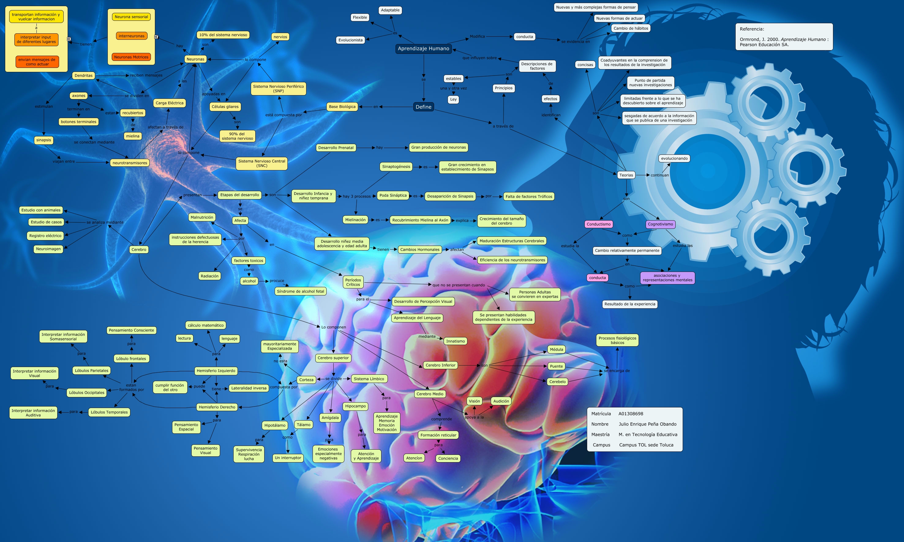 Cap1-2 AprendizajeHumano